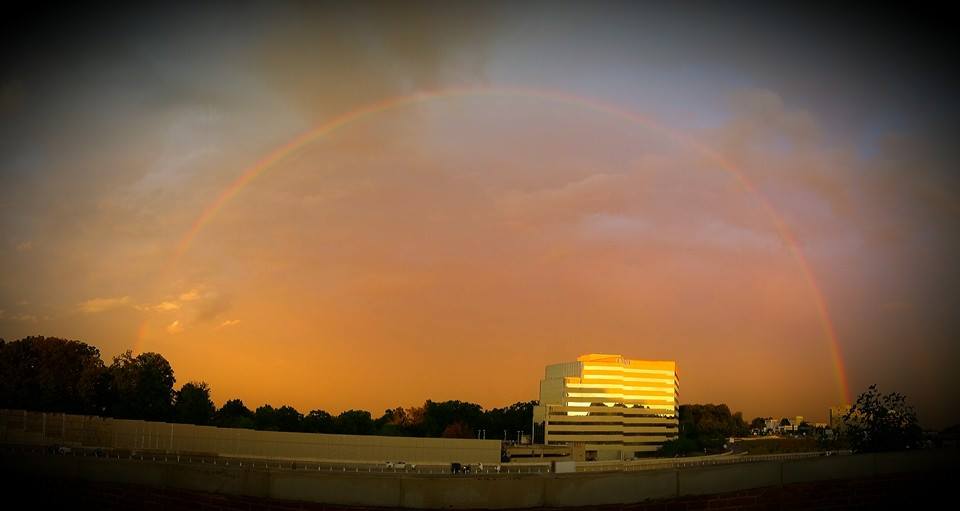 rainbow | PHOSPHORIMENTAL